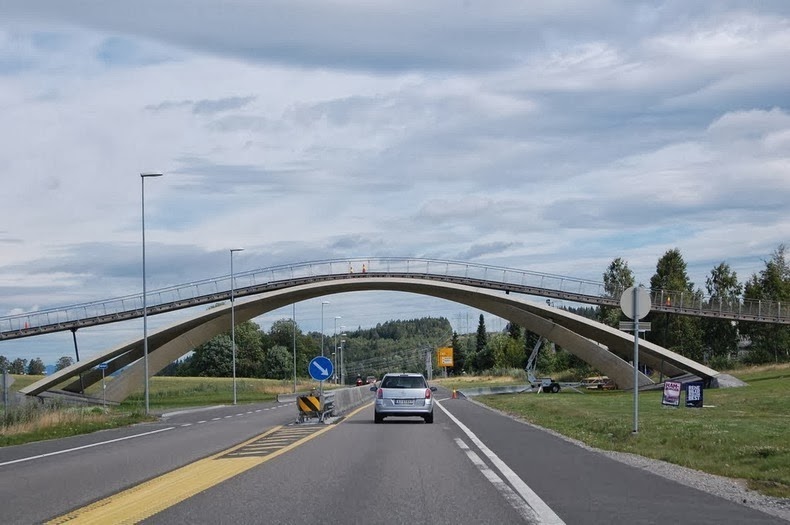 Leonardo Da Vinci’s Golden Horn Bridge - facts inform